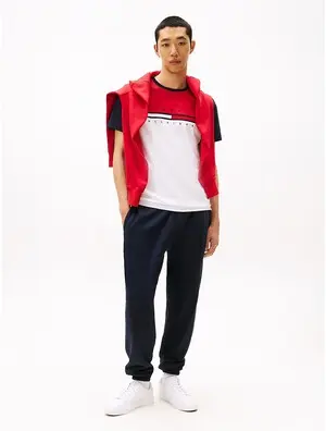 Tommy Hilfiger Colorblock Flag Stripe Logo T-shirt