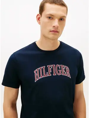 Tommy Hilfiger Hilfiger Arch Logo T-shirt