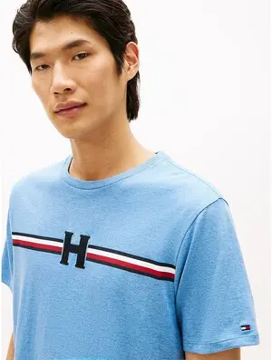 Tommy Hilfiger Signature H Stripe T-shirt