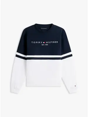 Tommy Hilfiger Colorblocked Logo Sweatshirt