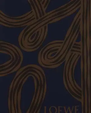 Loewe Silk Scarf X Paula's Ibiza - Brown