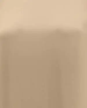 TOTEME Long Satin Dress With Crewneck And Long Sleeves - Brown