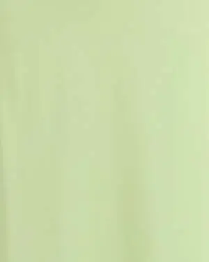 KRISTINA TI Classic Long Silk Skirt - Green