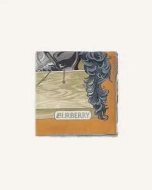 Burberry Wardrobe Scarf