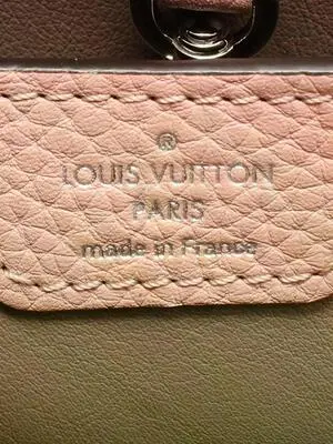 LOUIS VUITTON Taurillon Capucines Mm Satchel