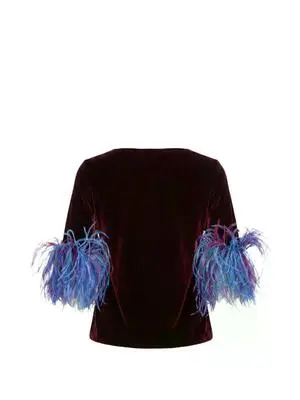 STEPHAN JANSON Velour Blouse With Feather Trim