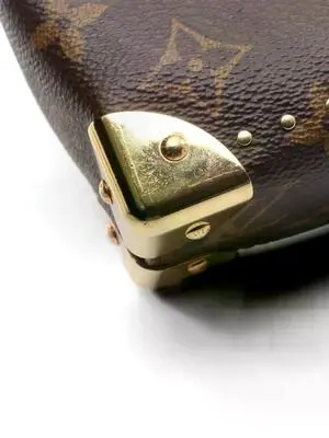 LOUIS VUITTON Camera Box Monogram Tote Bag