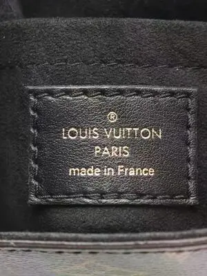 LOUIS VUITTON Camera Box Monogram Tote Bag