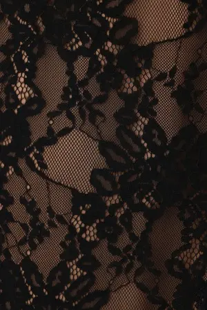 SAU LEE Moira Lace Maxi Dress With Cut-out And Slit