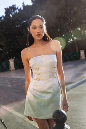 SAU LEE Nina Strapless Mini Dress