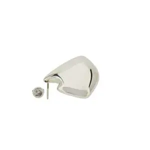 Bottega Veneta Small Fin Earrings