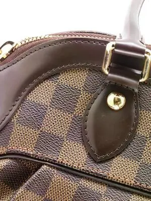 LOUIS VUITTON Trevi Gm Satchel
