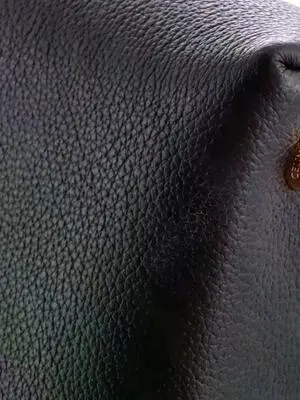 Celine Nino Top Handle Bag