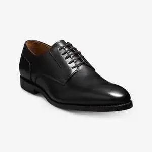 Allen Edmonds Windsor Plain-toe Derby Dress Shoe