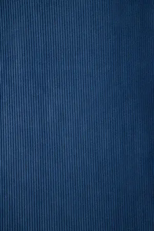PJ Salvage Craving Corduroy Long Sleeve Shirt