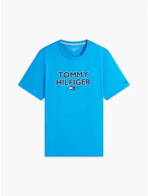 Tommy Hilfiger Bold Tommy 1985 Logo T-shirt