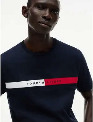 Tommy Hilfiger Colorblock Flag Stripe Logo T-shirt - Navy