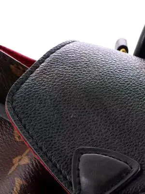 LOUIS VUITTON Montsouris Nm Monogram Canvas With Leather Bb Backpack