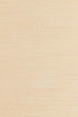 Max Mara Accessories Scarves & Shawls