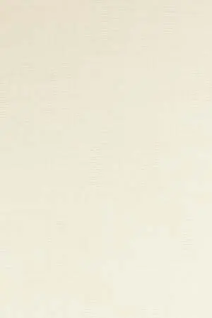 Max Mara Accessories Scarves & Shawls