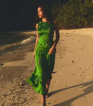 DÔEN Amari Silk Maxi Dress With Hand-beaded Floral Motifs