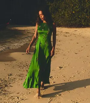 DÔEN Amari Silk Maxi Dress With Hand-beaded Floral Motifs