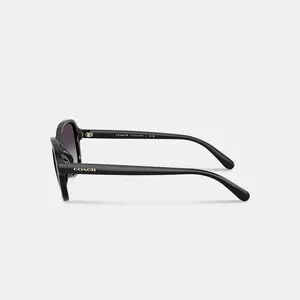 COACH OUTLET Oversized Oval Sunglasses - Black