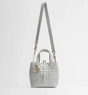 Dior Small Toujours Vertical Tote Bag