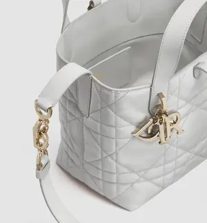 Dior Small Toujours Vertical Tote Bag
