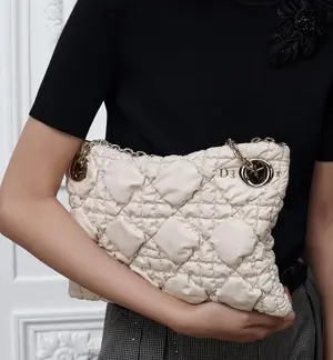 Dior Small Crunchy Bag