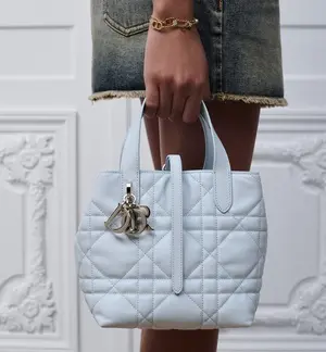 Dior Toujours Vertical Nano Tote Bag