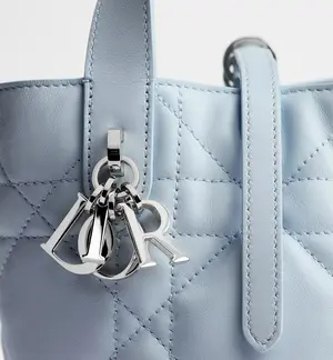 Dior Toujours Vertical Nano Tote Bag