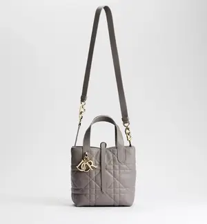 Dior Small Toujours Vertical Tote Bag