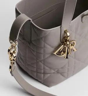 Dior Small Toujours Vertical Tote Bag