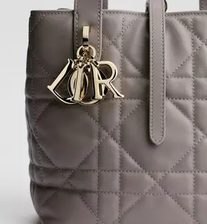 Dior Small Toujours Vertical Tote Bag