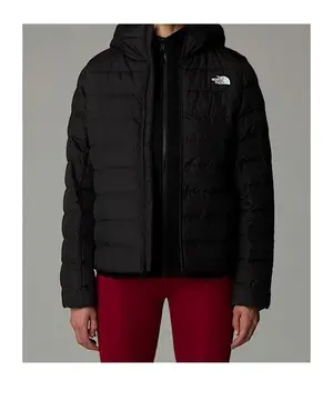 The North Face Aconcagua Iii Hooded Padded Jacket