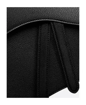 Dior Saddle Bag With Strap