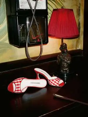 Manolo Blahnik Gingham Jadara 70 Heeled Mules - Red
