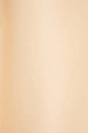 Alberta Ferretti A-line Skirt