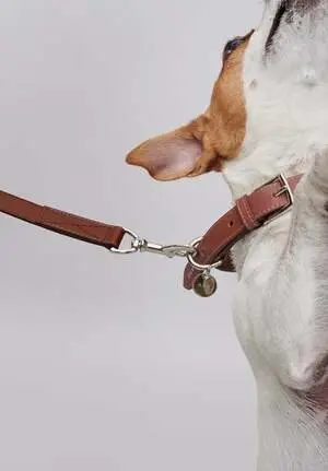 A.p.c. Toutou Leather Leash - Brown