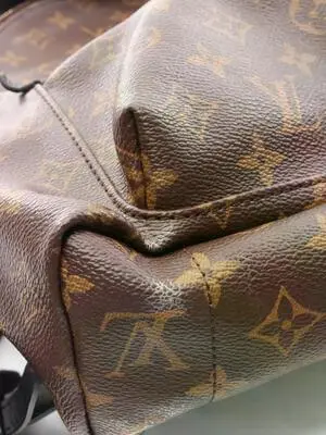 LOUIS VUITTON Palm Springs Backpack