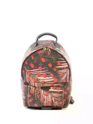 LOUIS VUITTON Palm Springs Pm Backpack - Brown