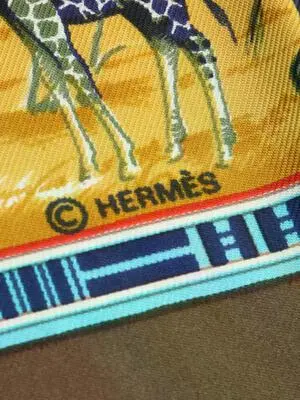 Hermès 2000s Tropiques Laurence Bourthoumieux Silk Scarf