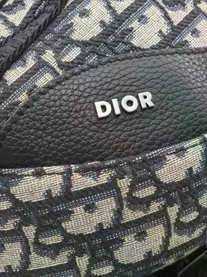 Dior Oblique Scarab Body Bag