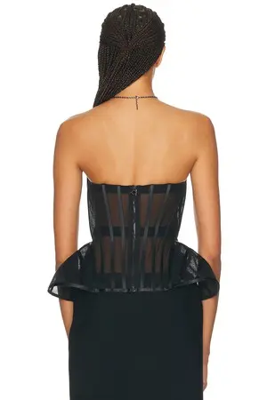 Carolina Herrera Bustier Top