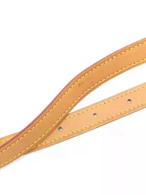 LOUIS VUITTON Viva Cité Pm Shoulder Bag