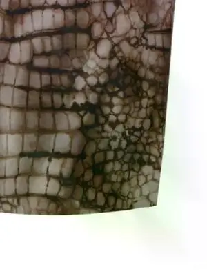 Elisabetta Franchi Crocodile-print Midi Pencil Skirt - Brown