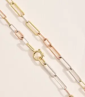 SPINELLI KILCOLLIN Mixed Metal Link Necklace
