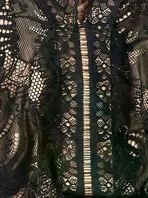 Tadashi Shoji Carelli Lace Maxi Dress