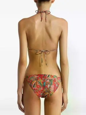 Etro Paisley-print Foliage-motif Bikini
